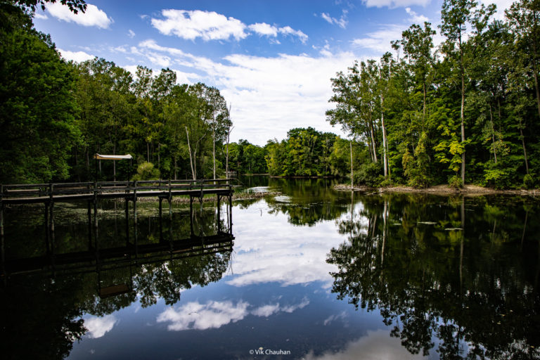 Maybury State Park - Vikram Chauhan's Blog